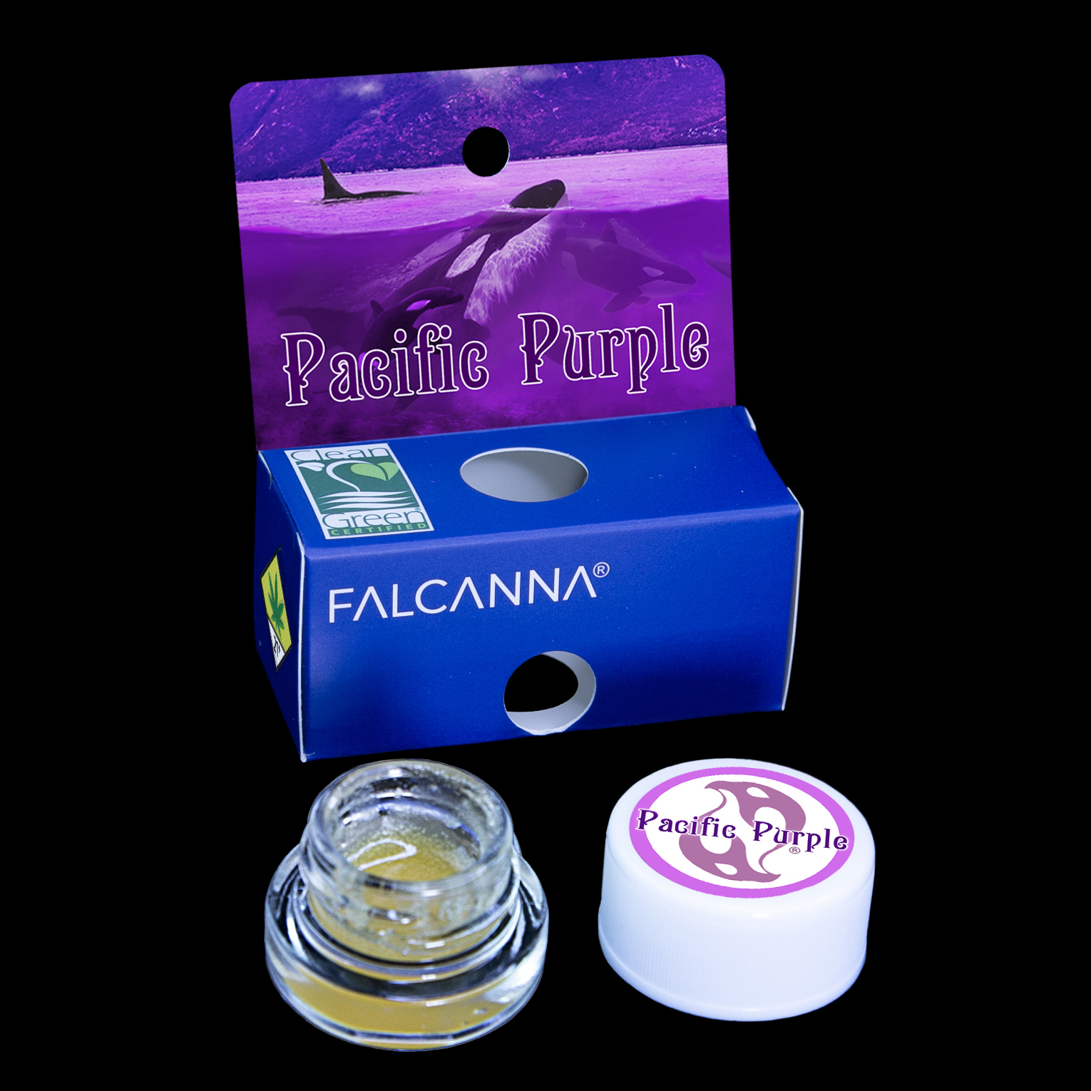 Falcanna Pacific Purple Cold Cured Badder - Craft Cannabis Dispensary WA