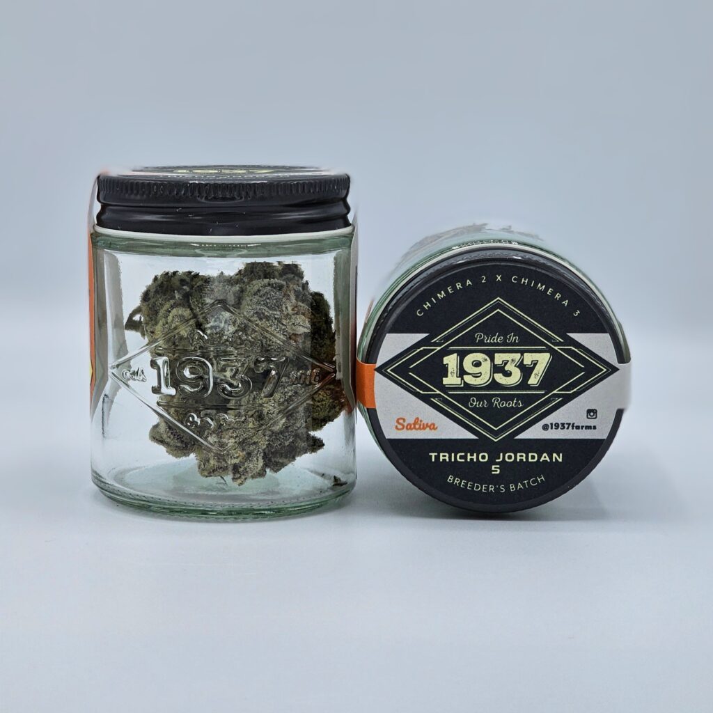 1937 Farms Tricho Jordan - Craft Cannabis Dispensary WA